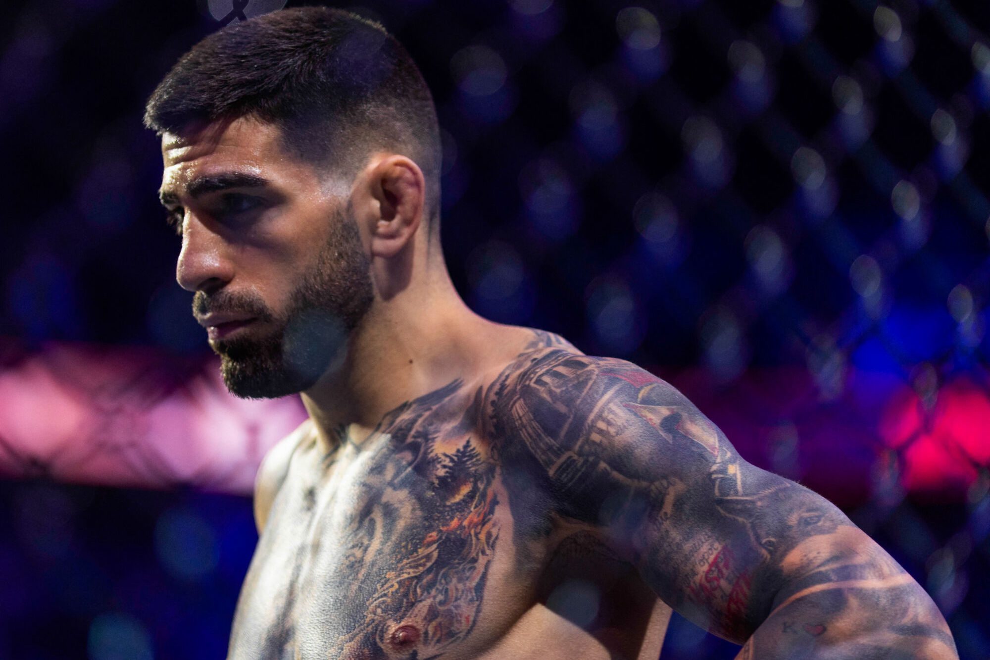 Combien va gagner Topuria pour son sacre à l'UFC