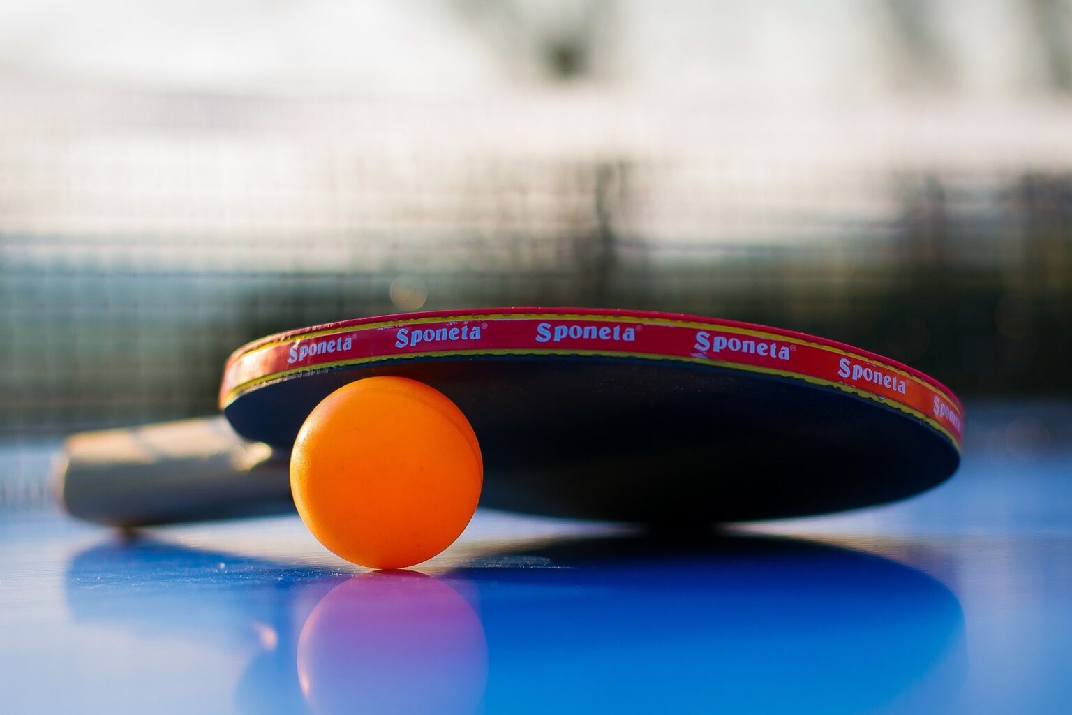 Tennis de table. Les primes du WTT Champions 2024