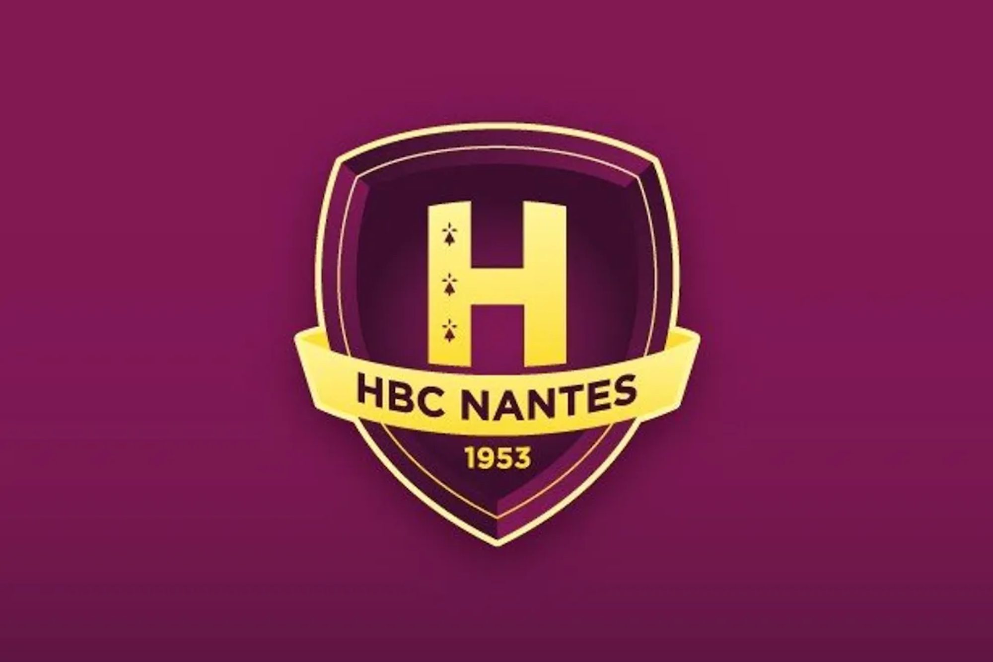 HBC Nantes. Salaires, budget, finances, sponsors, organigramme