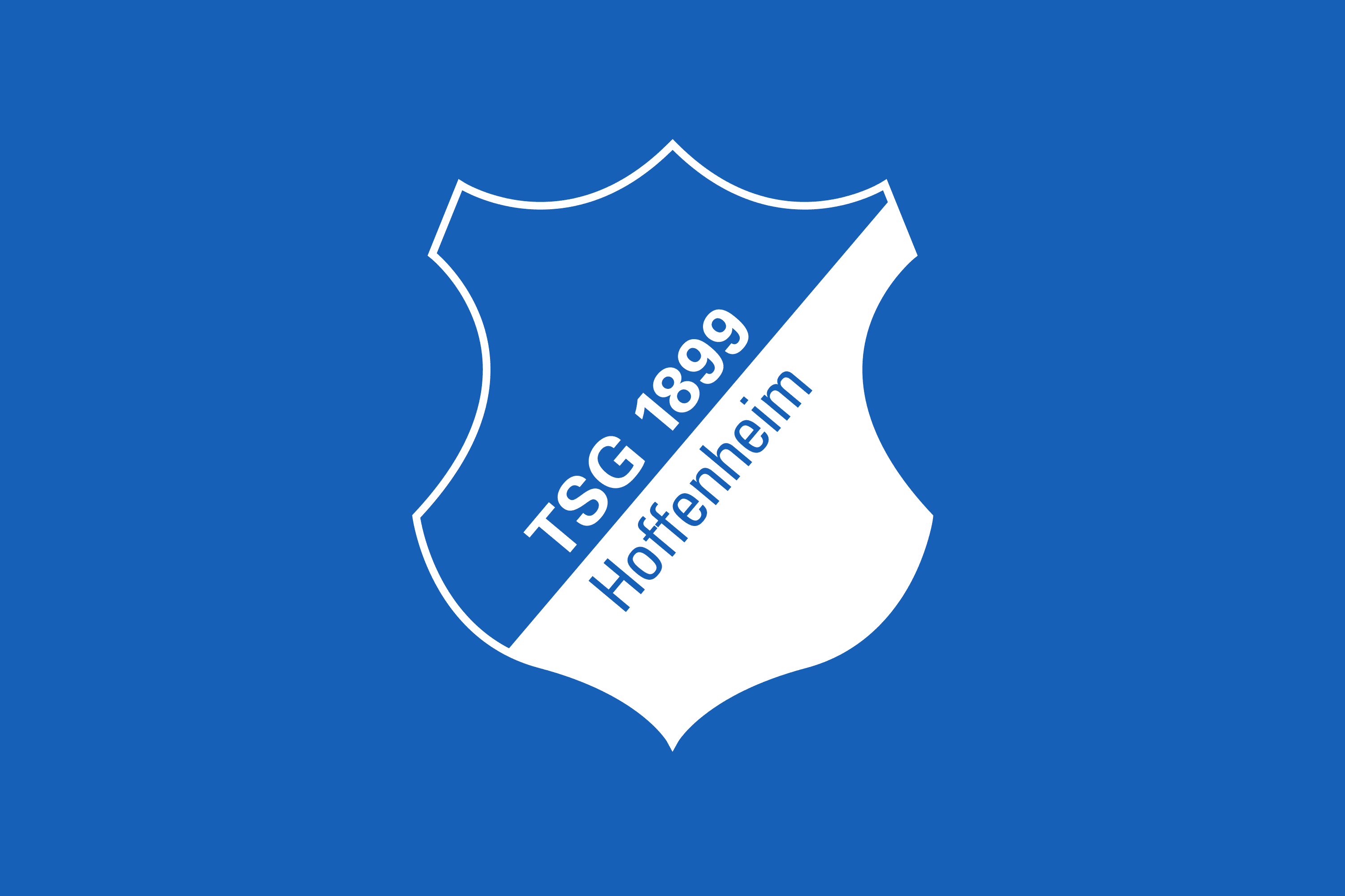 TSG Hoffenheim. Salaires, budget, finances, sponsors, organigramme