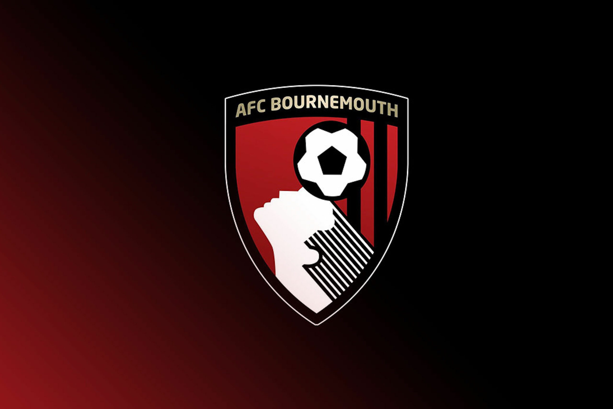 AFC Bournemouth. Salaires, budget, finances, sponsors, organigramme